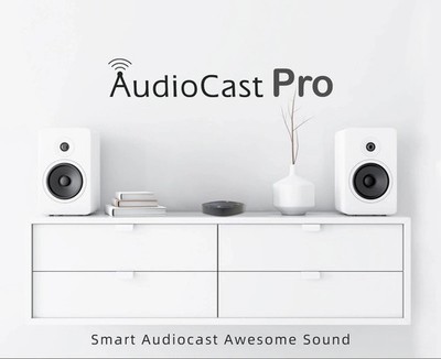 AUDIOCAST Pro M20 Audio Streamer & Pre-amp (WiiM alternative) - Spotify ...