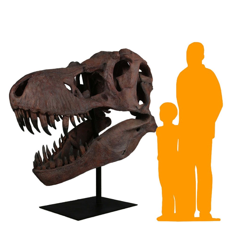 Jumbo T-Rex Skull On Base Life Size Resin Statue Jurassic Theme Prop ...