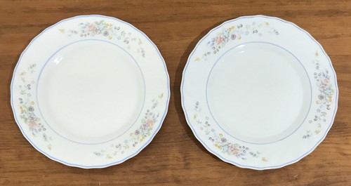 8 Arcopal France *Victoria* Side Plates Vintage Retro - 19.5cm Diameter ...