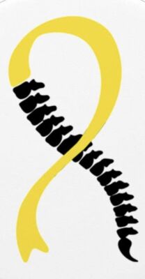 Vinyl Decal- Spina Bifida Ribbon (Pick Size & Color) Car Sticker Solid ...