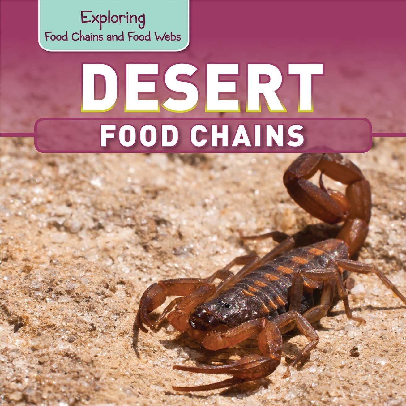 Desert Food Chains (Exploring Food Chains and Food Webs) | eBay