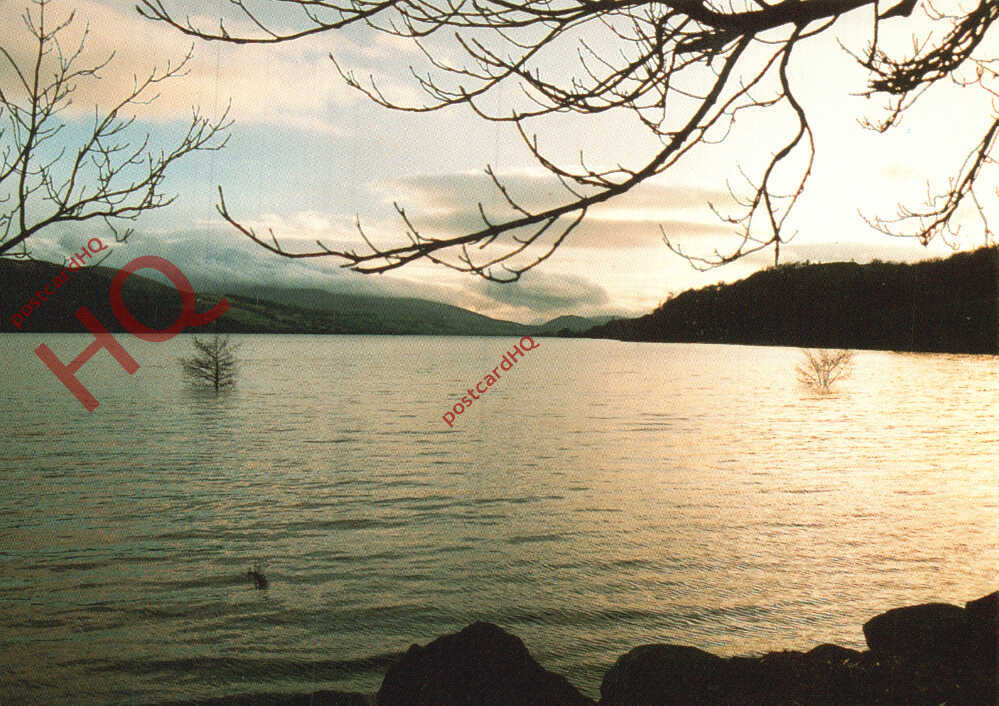 Picture Postcard>>Llyn Tegid (Bala Lake), from Caemawr | eBay UK
