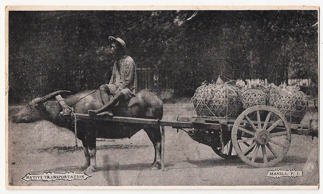 Manila Philippines Islands Native Transportation Antique Postcard #1109 ...