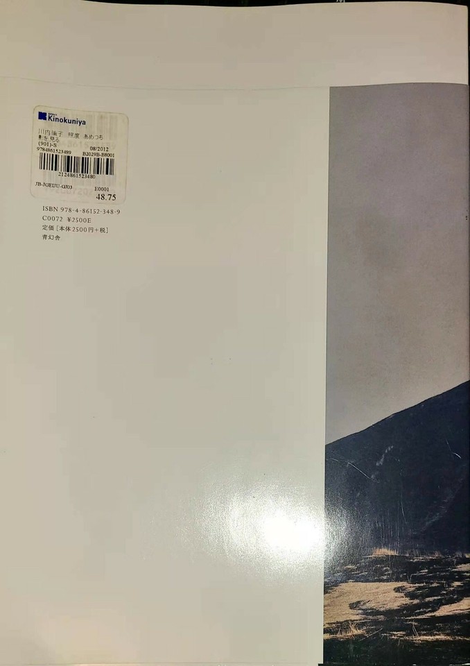 RINKO KAWAUCHI - ILLUMINANCE, AMETSUCHI, SEEING SHADOW By Tetsuro Ishida | eBay