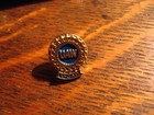 UAW V-CAP Lapel Pin - United Auto Workers Union Community Action ...