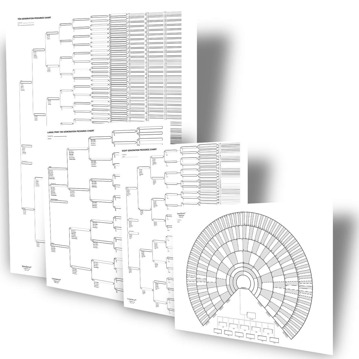 Printable Genealoy Charts