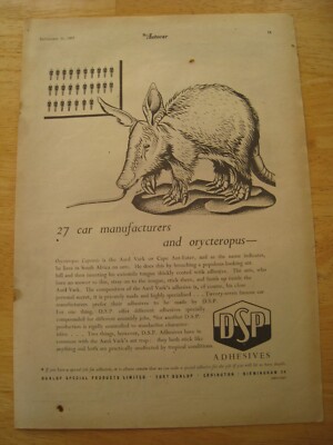 ORYCTEROPUS CAPENSIS AARD VARK CAPE ANTEATER DSP ADHESIVE 1951 ADVERT ...