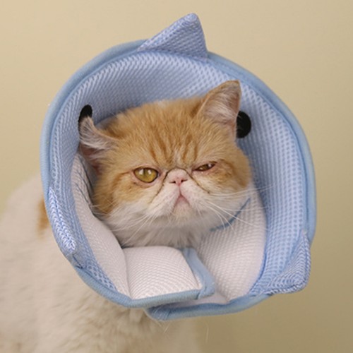 Pet Collar Adorable Anti-bite Pet Protective Collar Dog Neck Cone ...