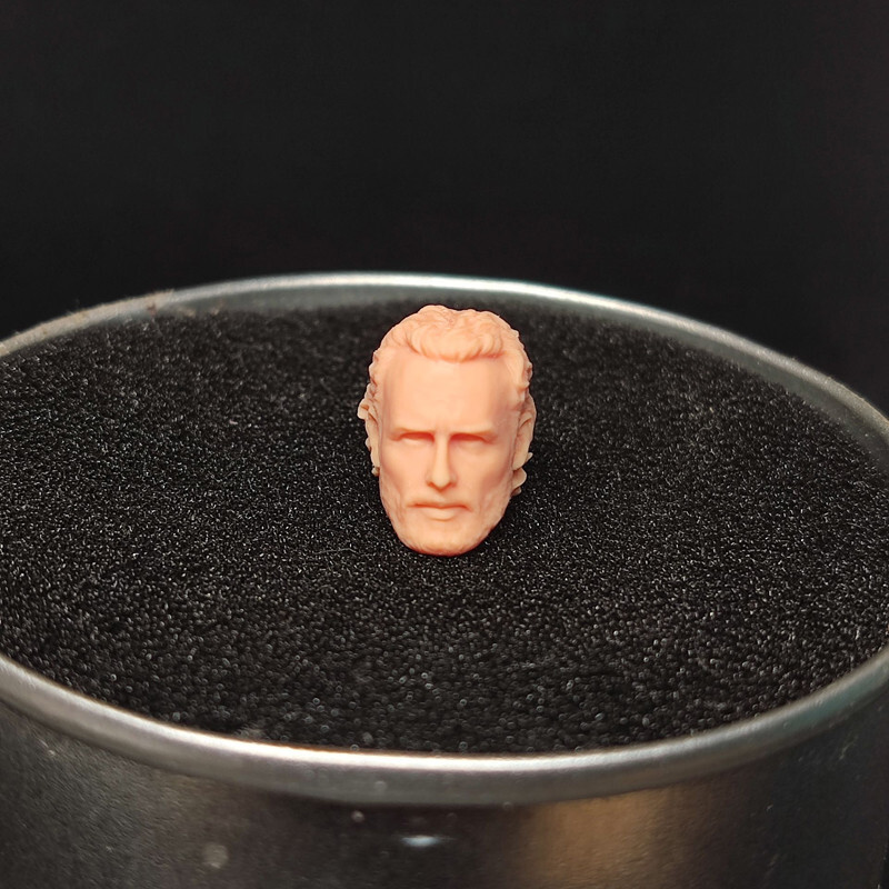 Blank 1/24 Scale The Walking Dead Rick Head Sculpt Unpainted Fit 2.5 ...