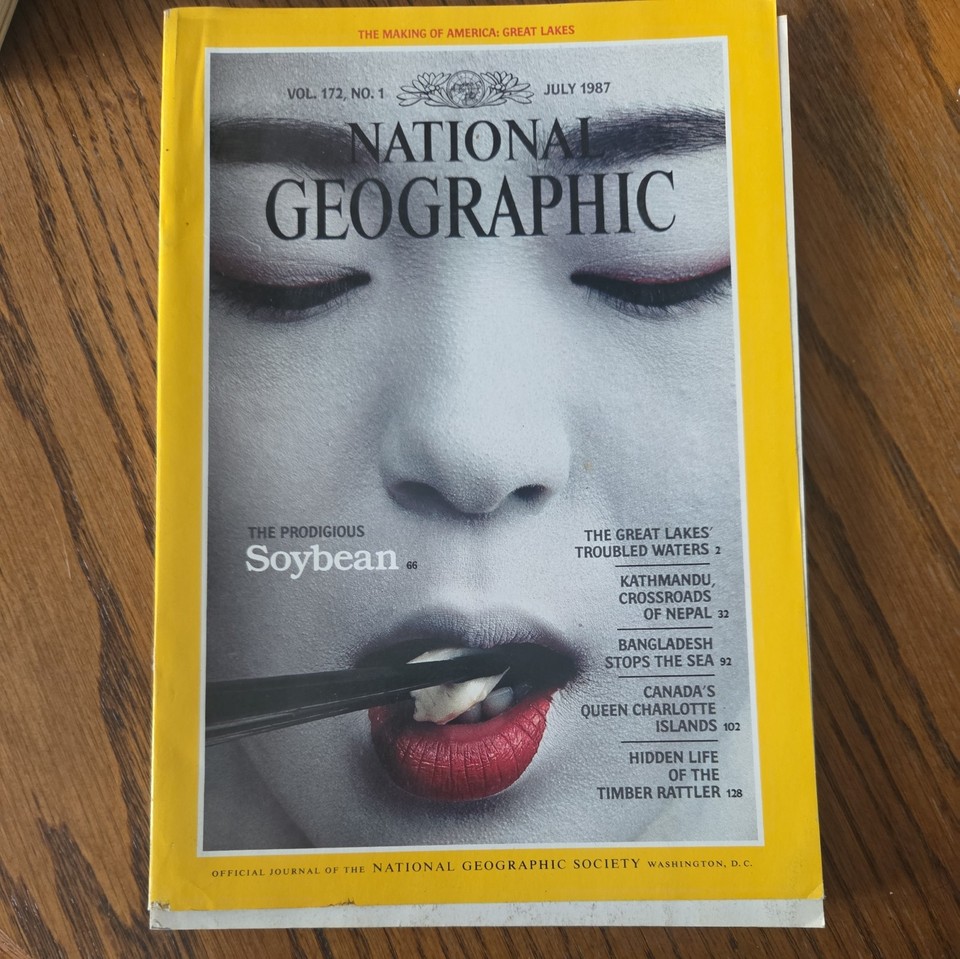 Lot of 9 Vintage 1987 National Geographic Magazines missing May June ...