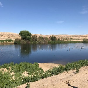 Elephino Finds | eBay Stores