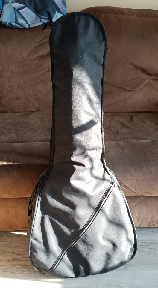 Alvarez Electric Guitar 6 String | eBay