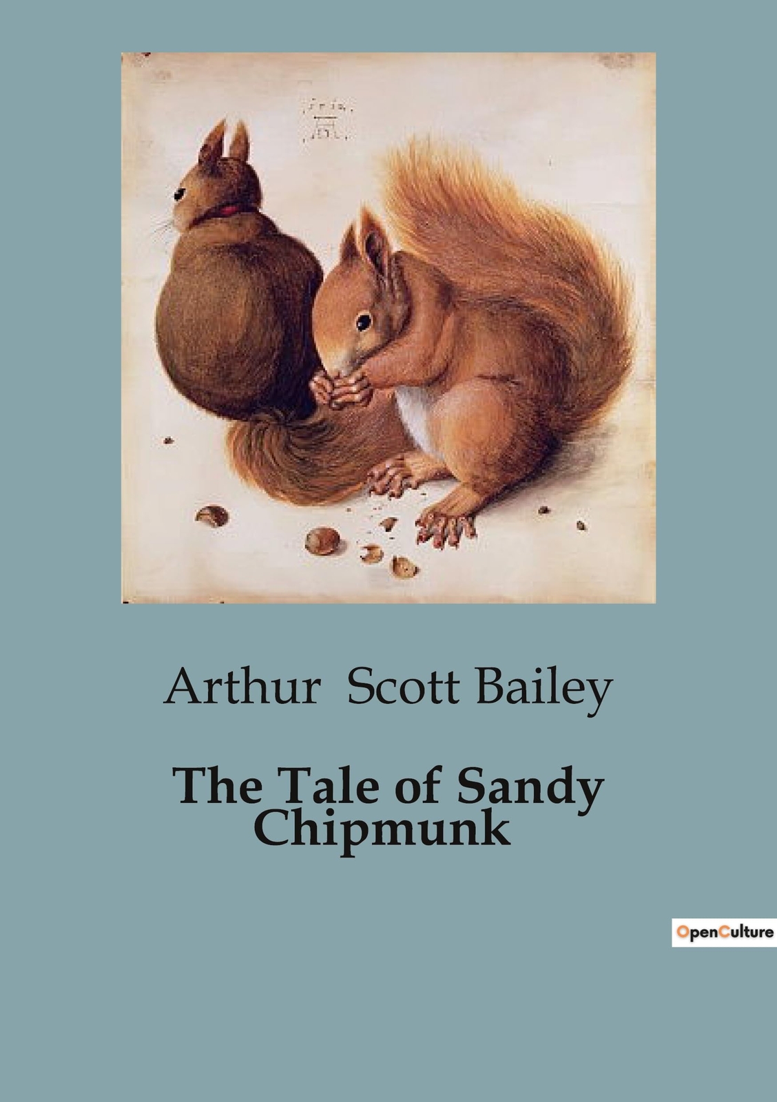 Arthur Scott Bailey The Tale of Sandy Chipmunk (Paperback) (UK IMPORT ...