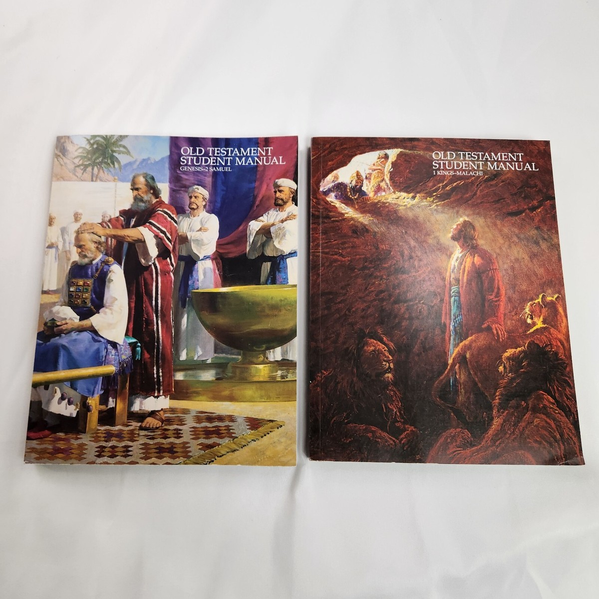 Lds Institute Manual