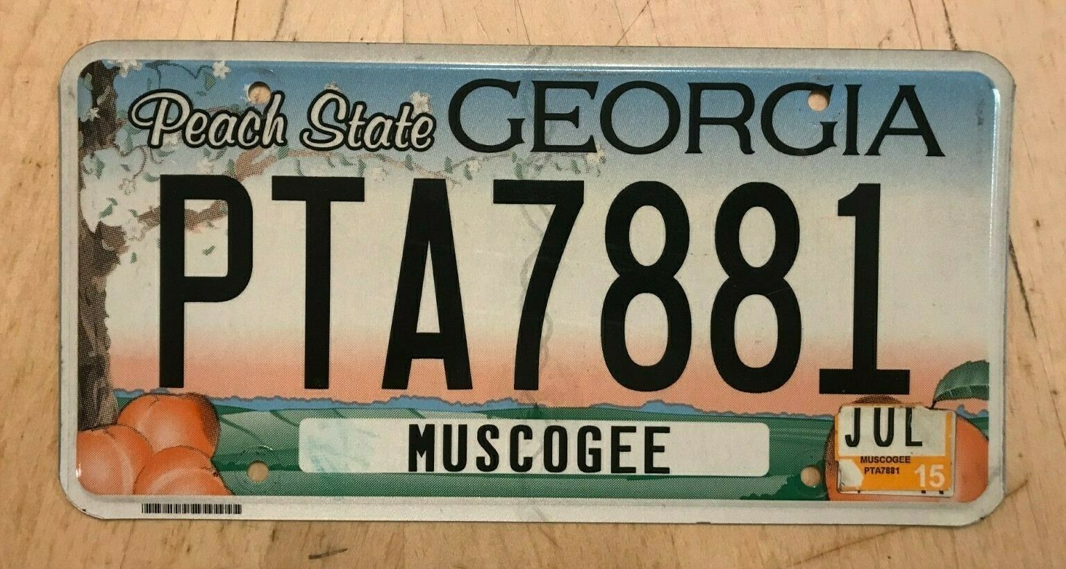 GEORGIA GRAPHIC PASSENGER AUTO LICENSE PLATE " PTA 7881 " GA PARENT ...