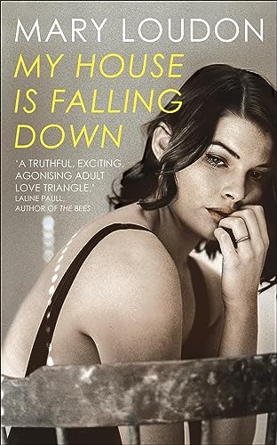 My House Is Falling Down by Mary Loudon NEW BOOK 9781529005271 | eBay UK