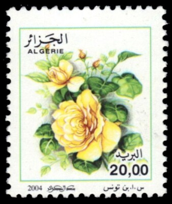 ALGERIA 1314 - Garden Roses (pb67630) | eBay