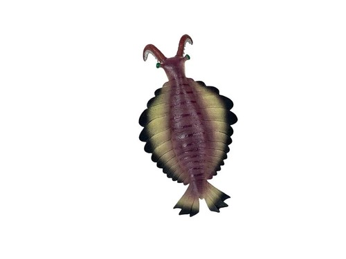 Cambrian Dinosaur Toy Anomalocaris Prehistoric Monster Unbranded USA ...