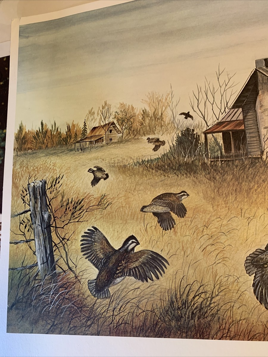 Tim Pafford's Instagram, Twitter & Facebook on IDCrawl