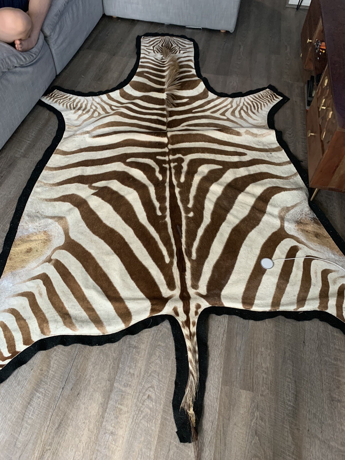 Zebra Skin Rug Hide - Authentic Beautiful Vibrant Zebra Skin Hide Rug ...