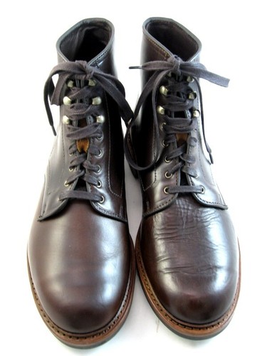 NEW Allen Edmonds "HIGGINS MILL" WEATHERPROOF Leather Boots 9 E BROWN ...