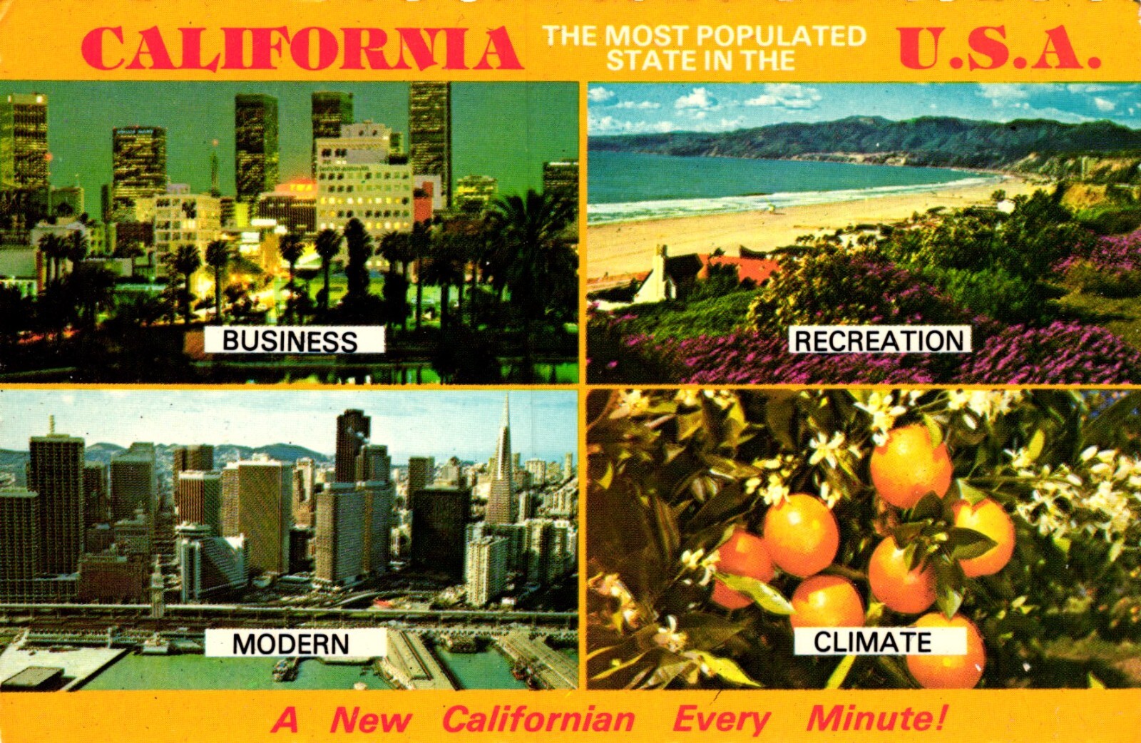 California The Most Populated State In The USA Postcard | eBay