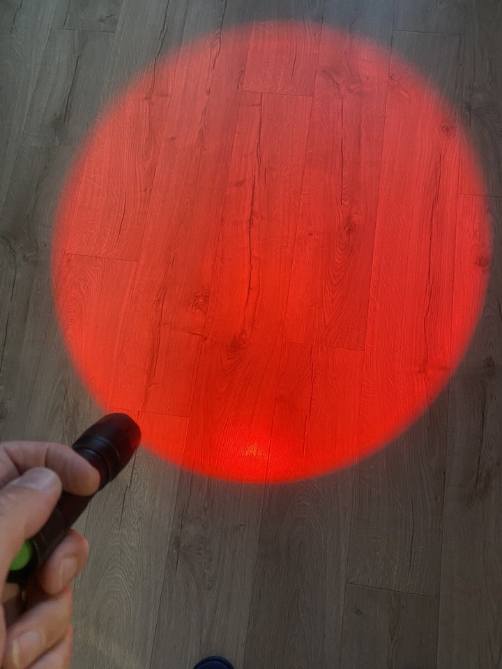 Bird Tufty Torch And carp Fishing | eBay UK