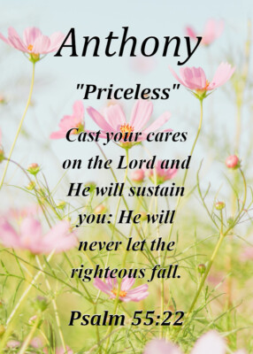 Anthony "Priceless" Keepsake Name Meaning Card with Bible Verse | eBay