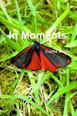 In Moments by Curtis Mohn (English) Paperback Book 9781387241989 | eBay ...