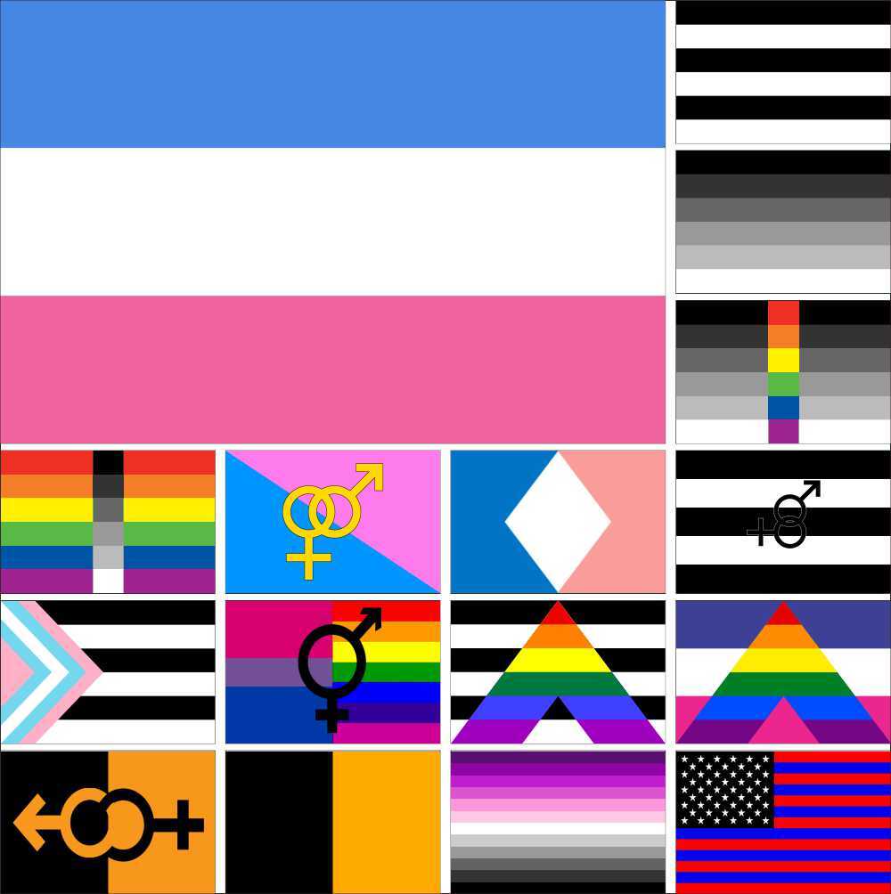 Straight Pride Flag