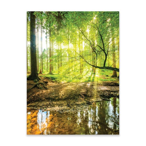 Poster Wald Natur 30x40 / 50x70 / 70x100 Hochformat OHNE RAHMEN XXL ...