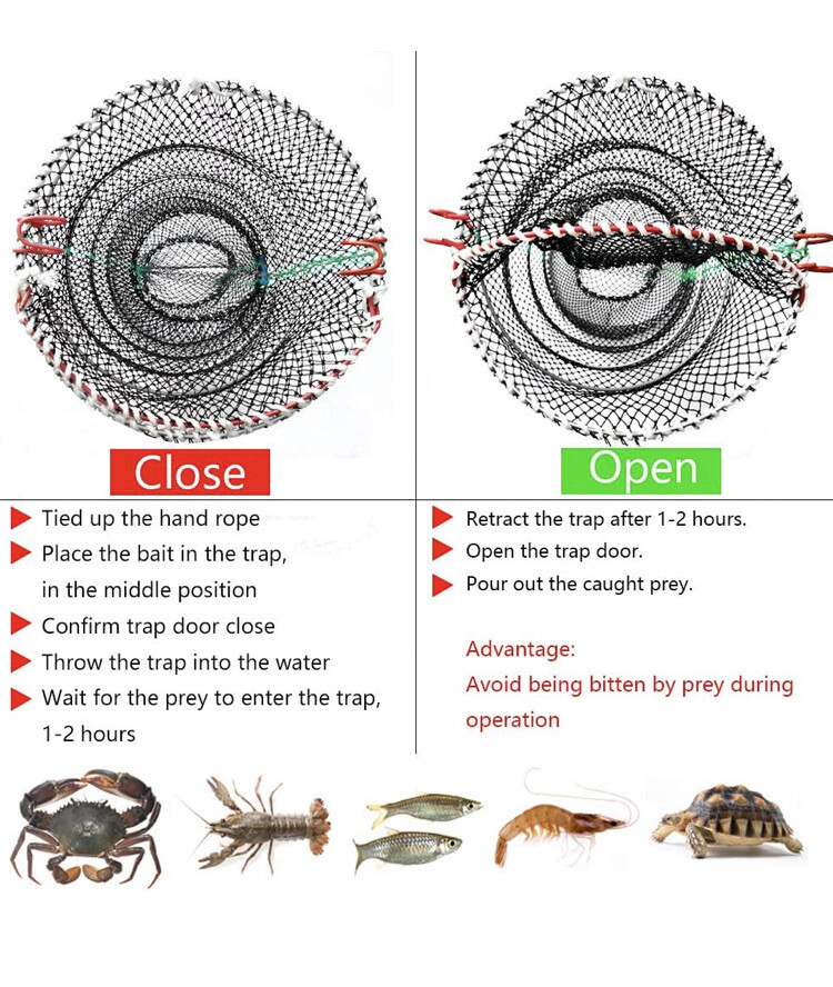 2x Drasry 37.4 IN X 19.6 IN Crap Trap, Shrimp Trap, Fish Trap, Lobster ...