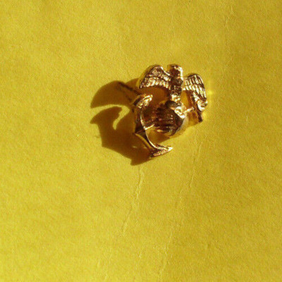 NAM TO PRESENT USMC "EGA" USED MOSTLY NAVY CORPSMEN/USMC FLEET MARINE ...