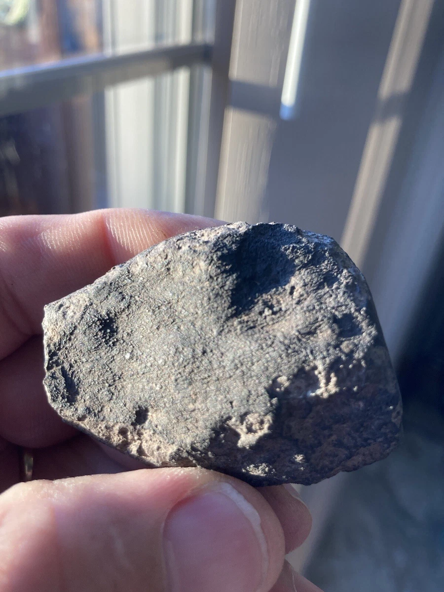 Allende Meteorite