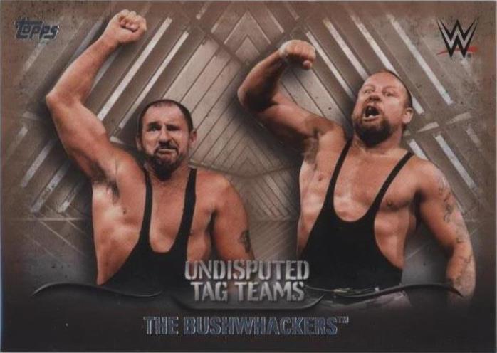 2016 Topps WWE Undisputed - Tag Teams The Bushwhackers #UTT-7 Bronze ...