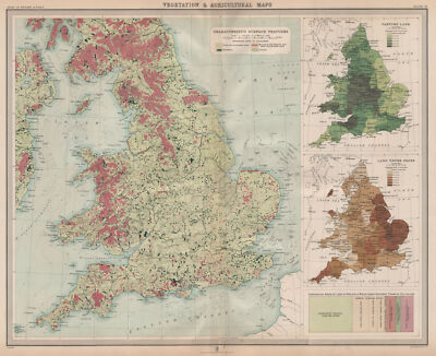 ENGLAND WALES. Vegetation Agriculture cultivated land crops. LARGE 1903 ...