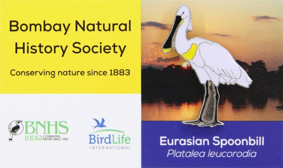 RSPB Pin Badge Special Bird Life International BNHS Eurasian Spoonbill ...