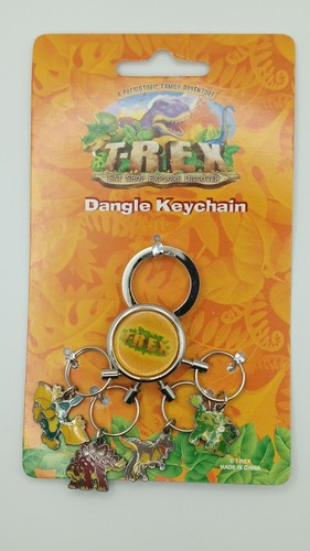 Dinosaur keychain for kids or adults holds multiple keys T-rex ...