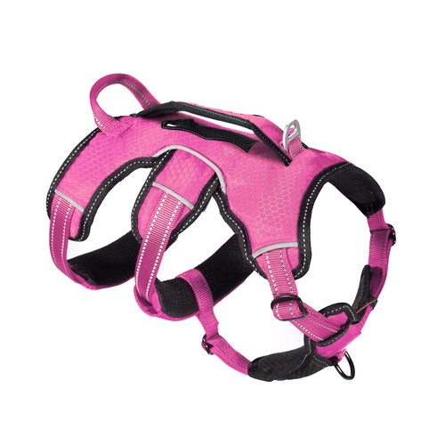 Escape Proof No Escape Dog Harness | 5 Point Adjustable Fit Harness for ...