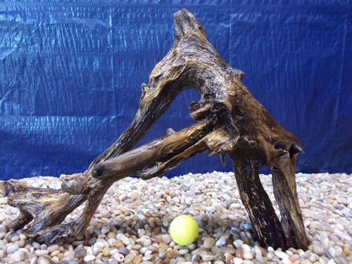 Pre-Soaked Driftwood,🐠 See Store 🐠 Aquarium, Terrarium, Reptile ...