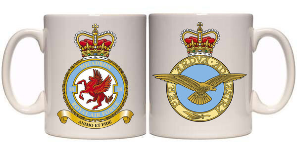 ROYAL AIR FORCE RAF SQUADRONS MILITARY 11oz & 15oz MUG (MI36) REGIMENT ...