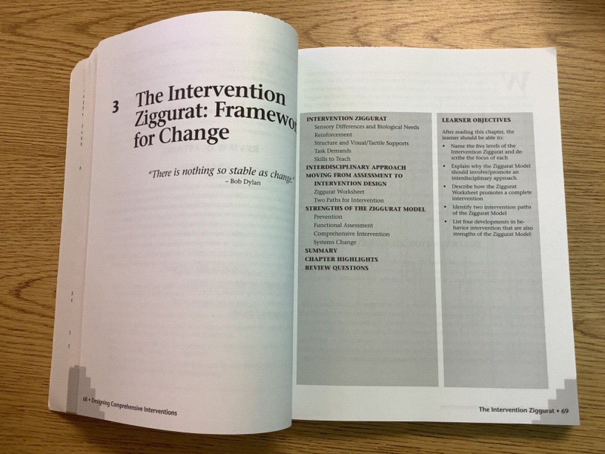 Ziggurat Model Autism