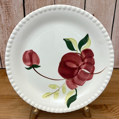 Vintage Blue Ridge Southern Pottery Vibrant Luncheon Plate | eBay