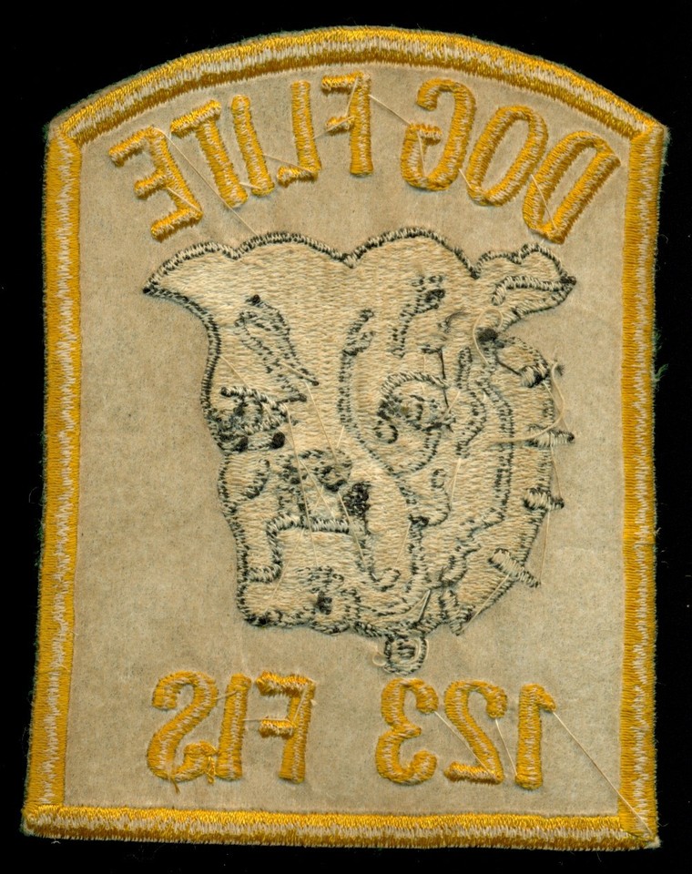 USAF 123rd Fighter Interceptor Squadron Patch N-3 | eBay