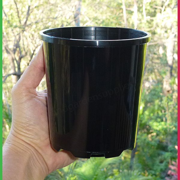 140mm Plastic Plant Pot - Pack of 90 - palms, shrubs, rockery | eBay