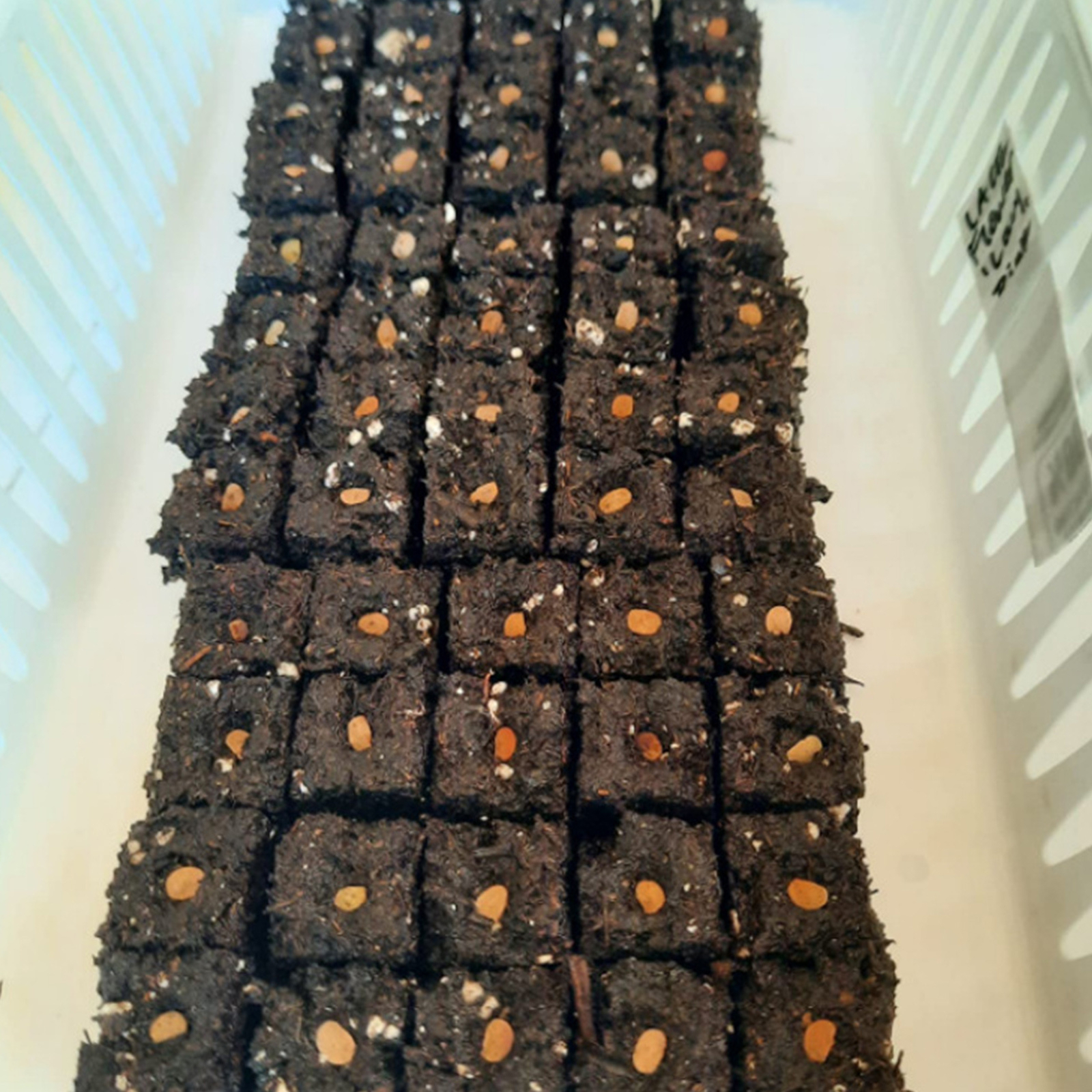 Manual Soil Blocker Set Soil Block Maker Mold Seedling feeder for Seed ...