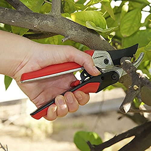 Corona RP 4224D 3/4" Cut Capacity Ratchet Hand Pruner Garden Shears ...