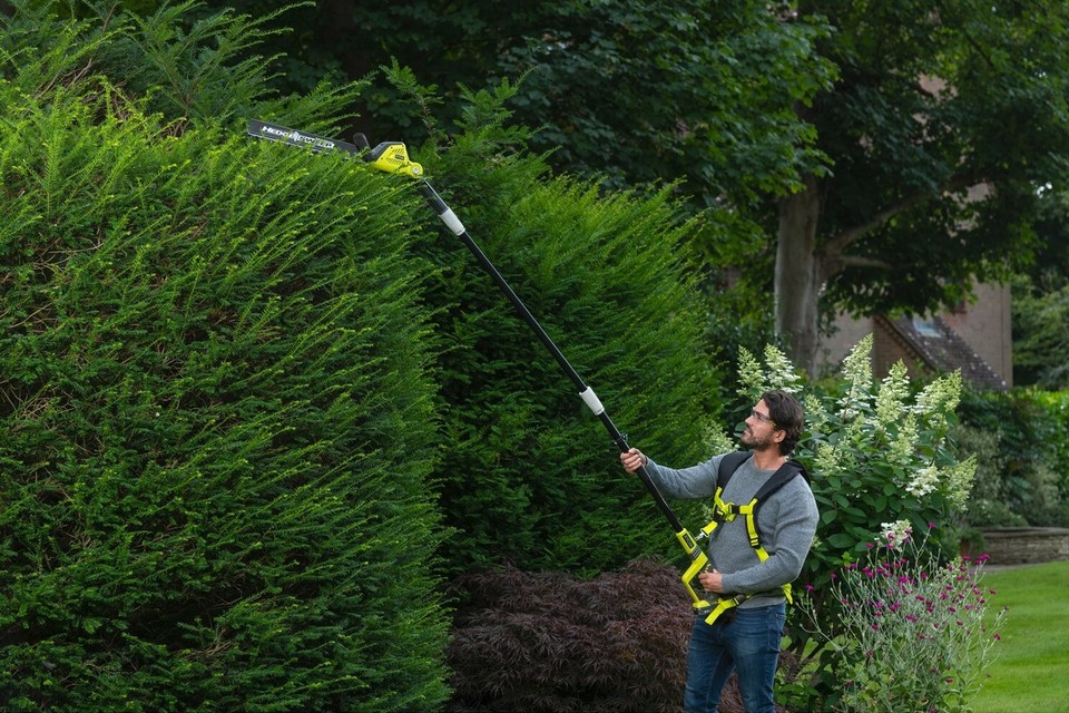 Ryobi RPT184520C 18V ONE+ Cordless 45cm Pole Hedge Trimmer (No Hedge ...