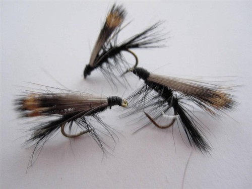 1 DZ D-3 BUCKTAIL CADDIS'S (COLORS & SIZES AVAILABLE), DRY FLIES TROUT ...