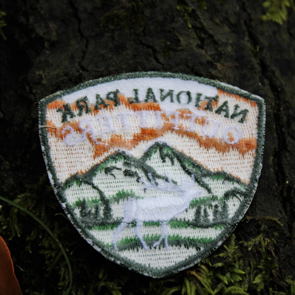 National Park Outfitters Elk Patch Service Iron-On Green Orange White ...